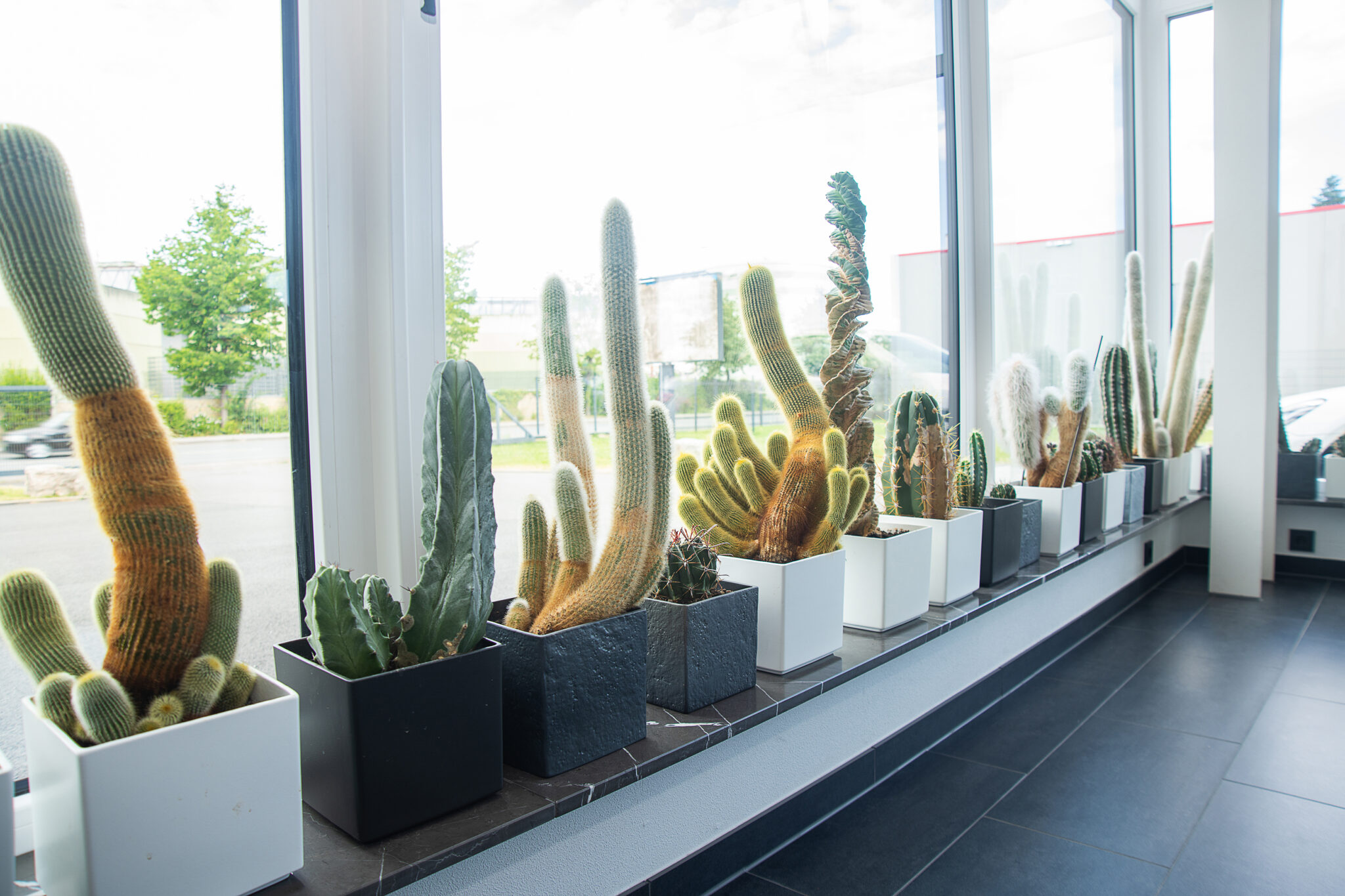 Kabeltechnik Putek Kabelkonfektionierung & Sonderlösungen